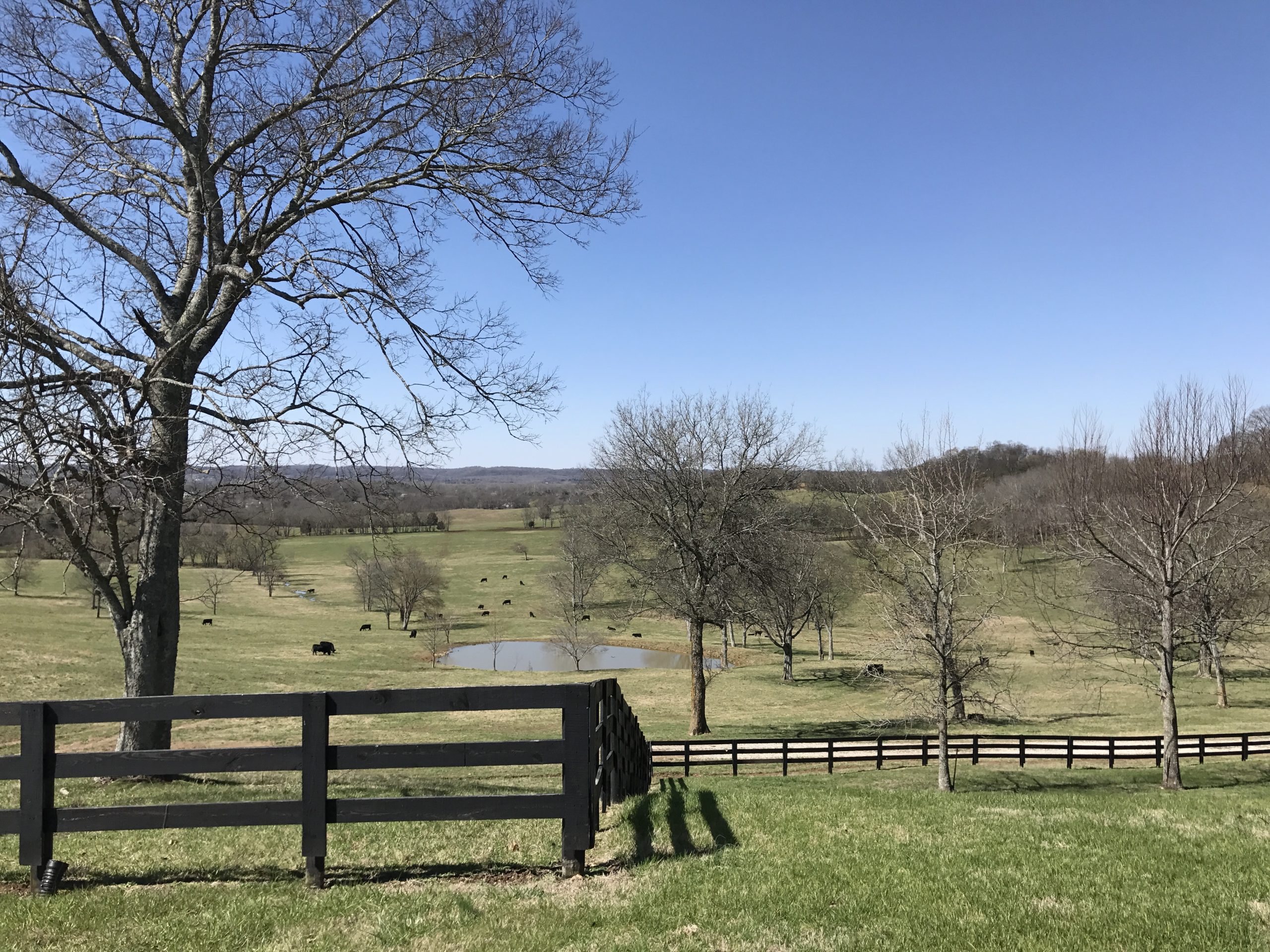 Update from Across the State: 2017 Monitoring Season - The Land Trust ...