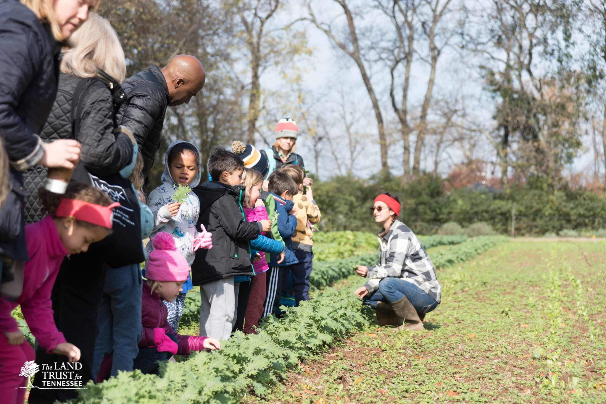 Gords, Gardens, and Ginkgo Confetti: 2017 Fall Field Trip Program at ...