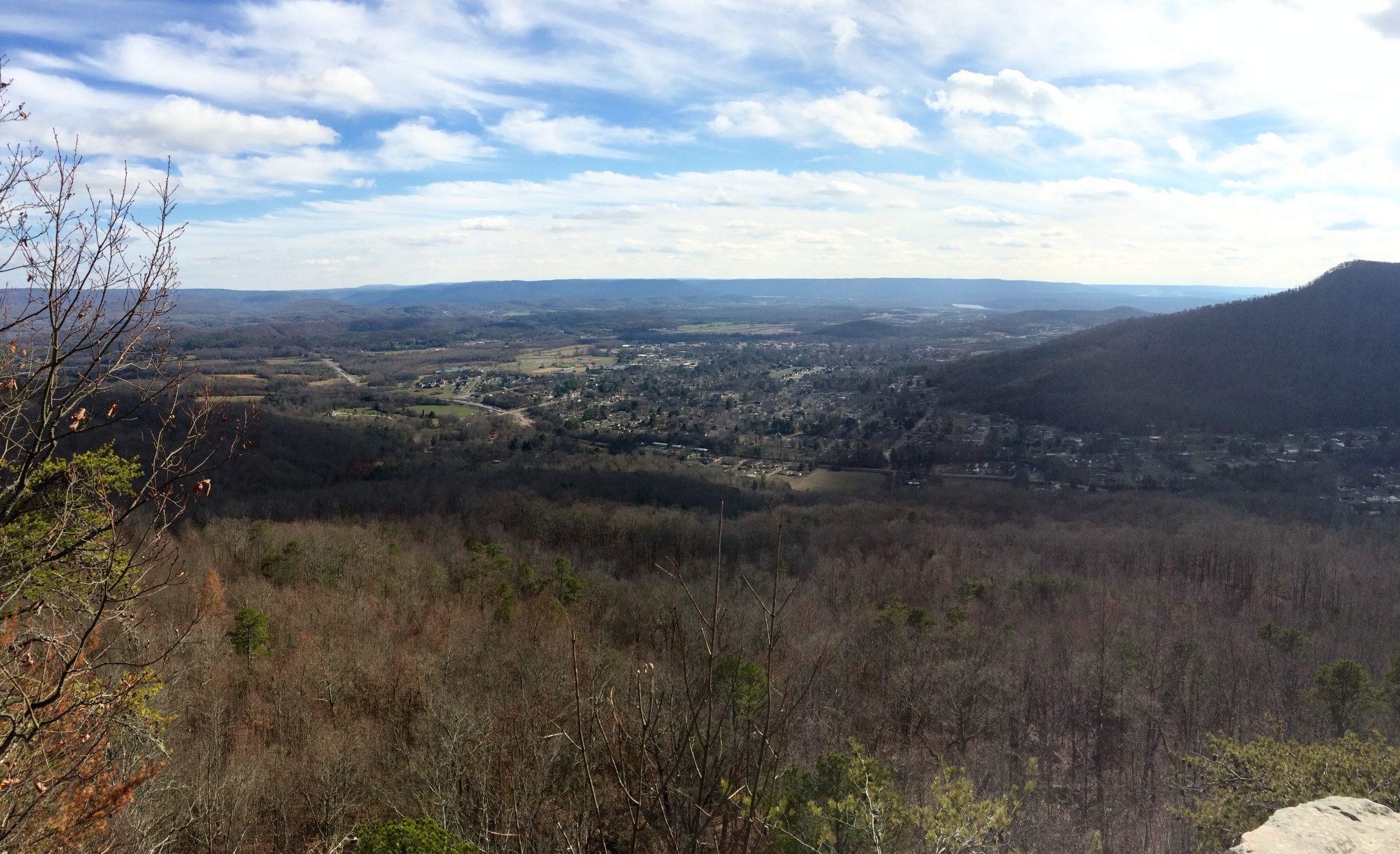 Update from Across the State: 2017 Monitoring Season - The Land Trust ...