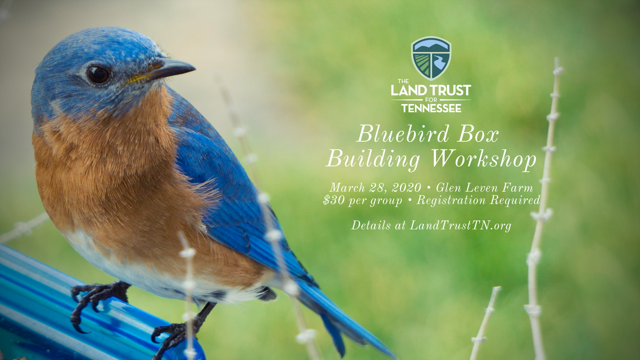 POSTPONED: Bluebird Box Building Workshop - March 28, 2020 - The Land ...