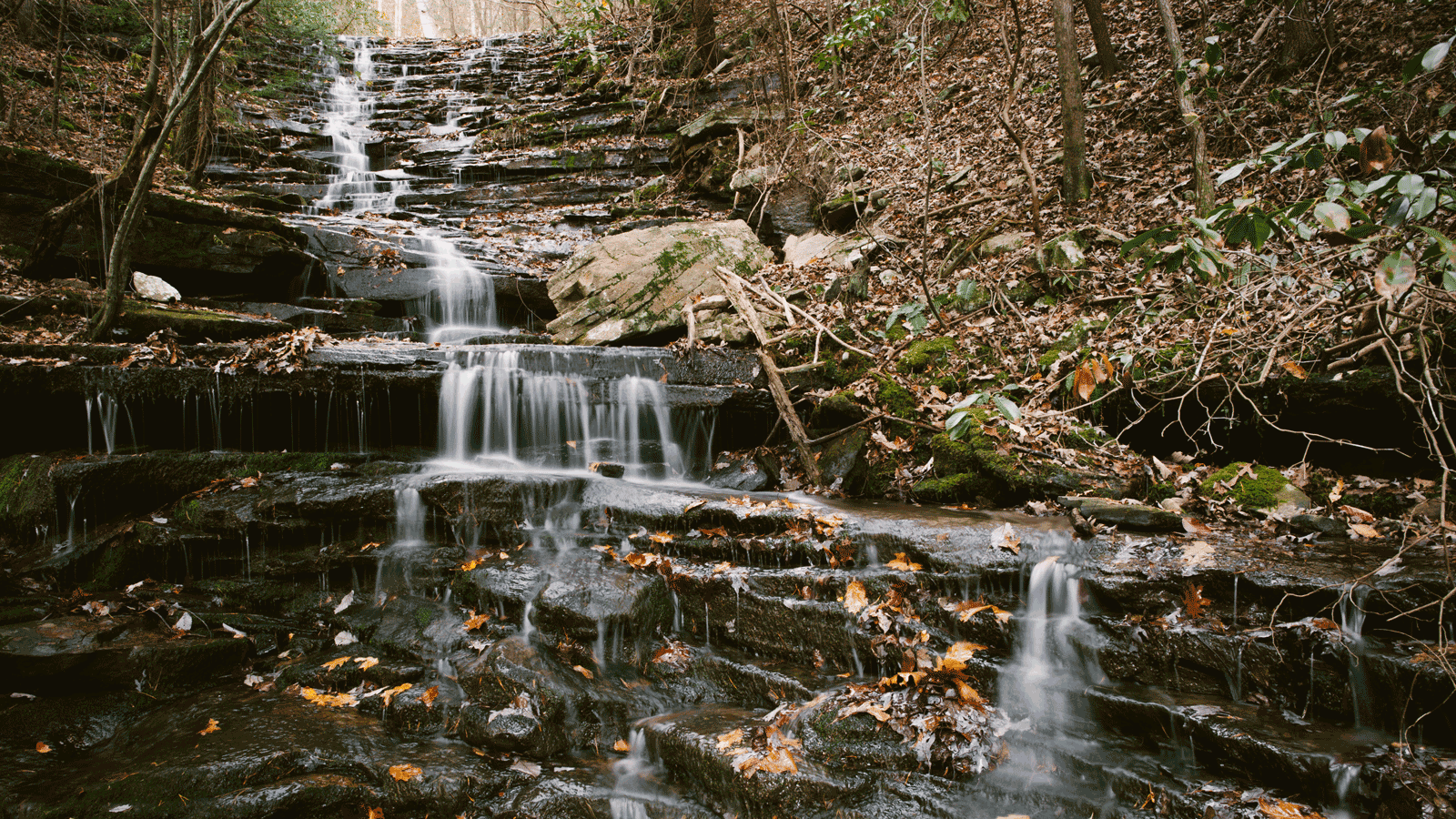 Places to Get Outside and Experience The Land Trust for Tennessee’s ...