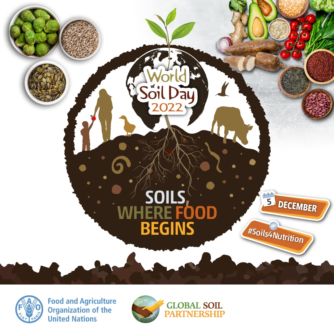 Celebrating World Soil Day - The Land Trust For Tennessee | The Land ...