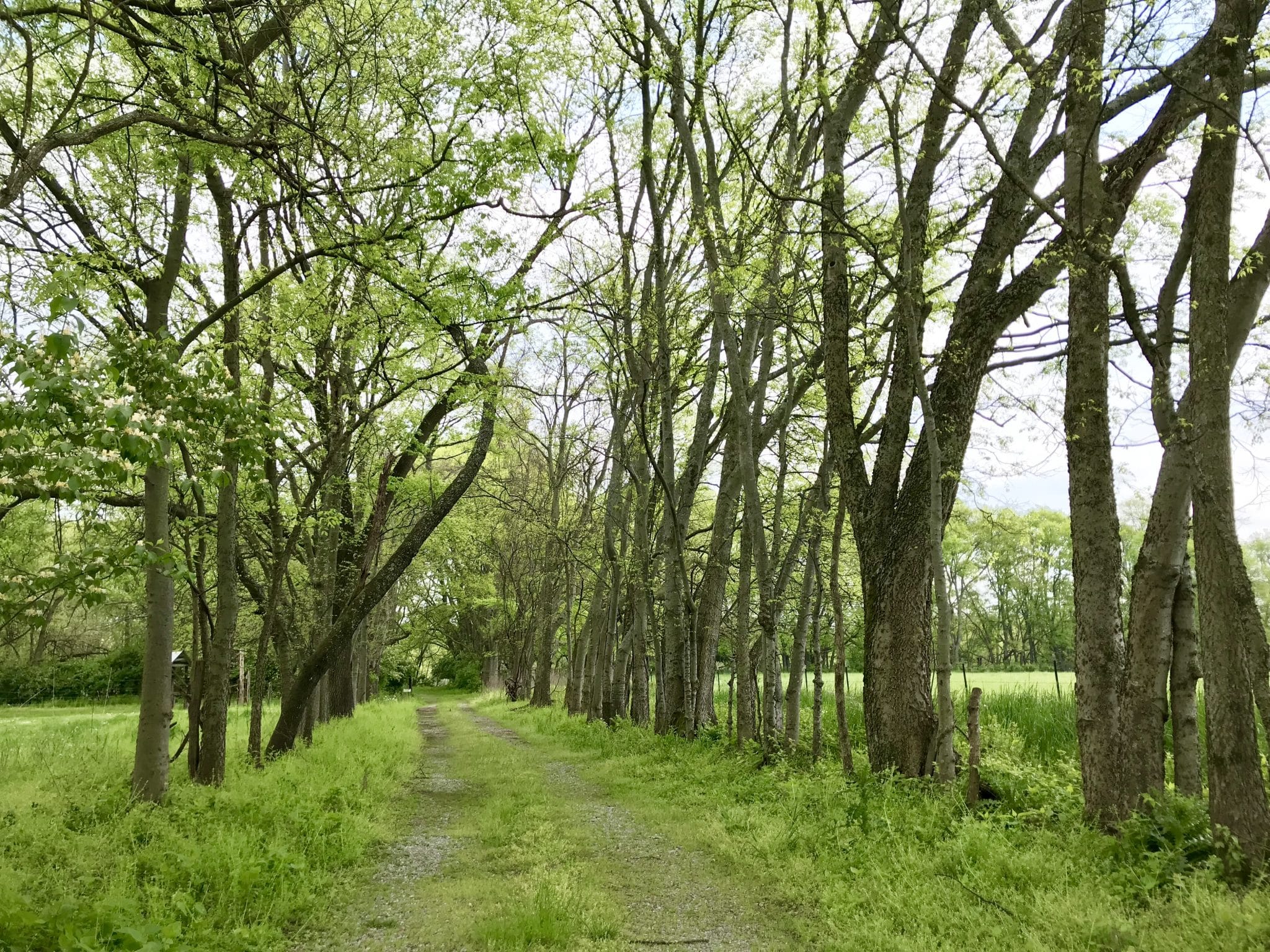 Inquire for custom pricing